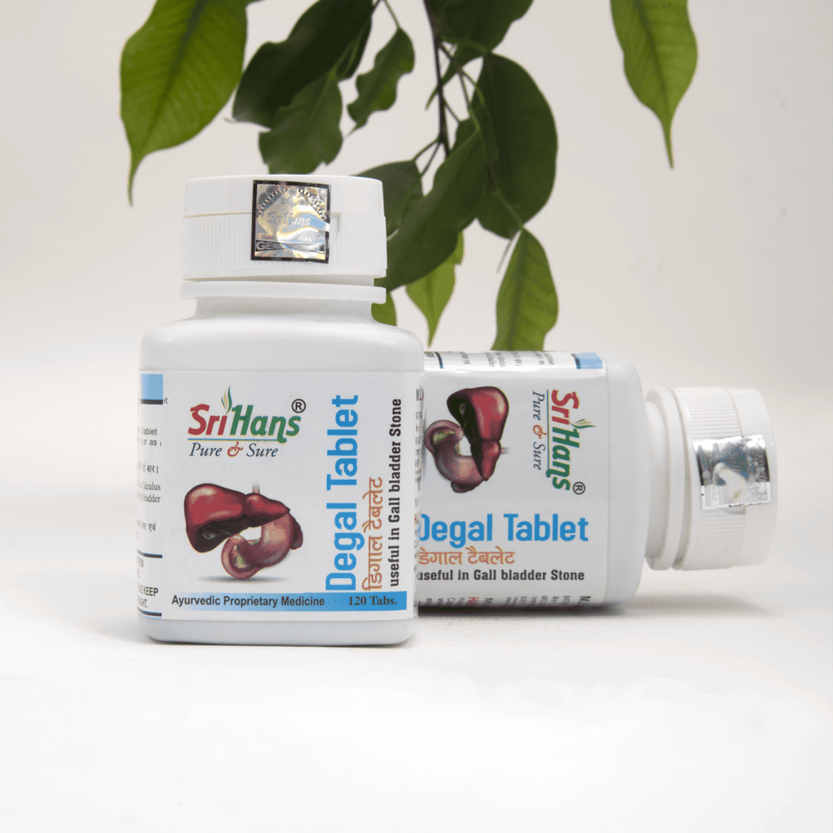 Degal Tablet – HansHerbals